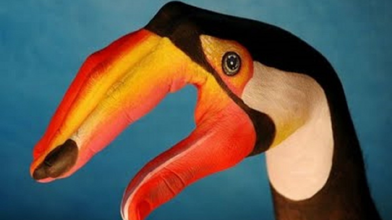 HAND PAINTED, BIRD - Image Abyss