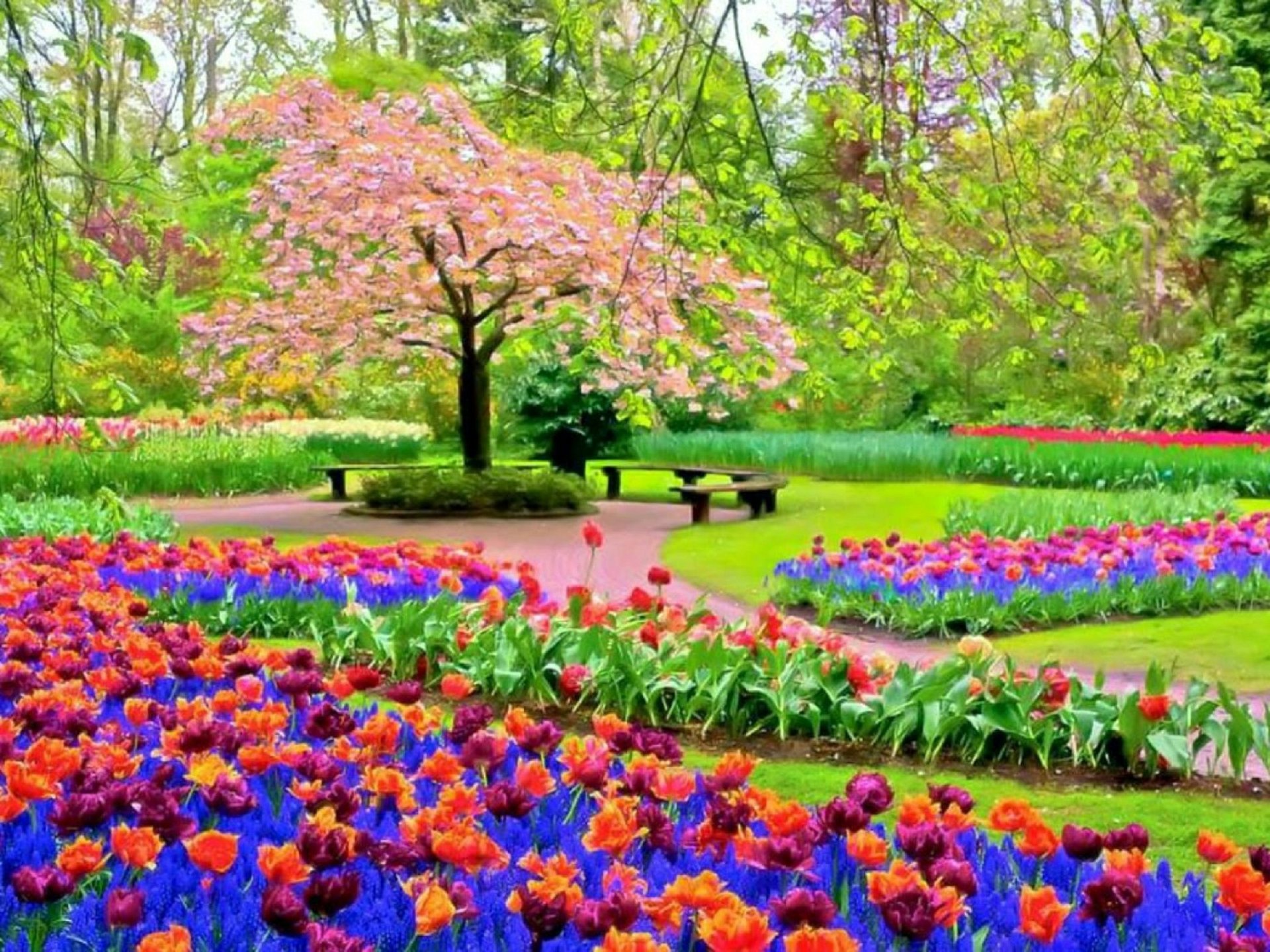 Download Artistic Spring Image