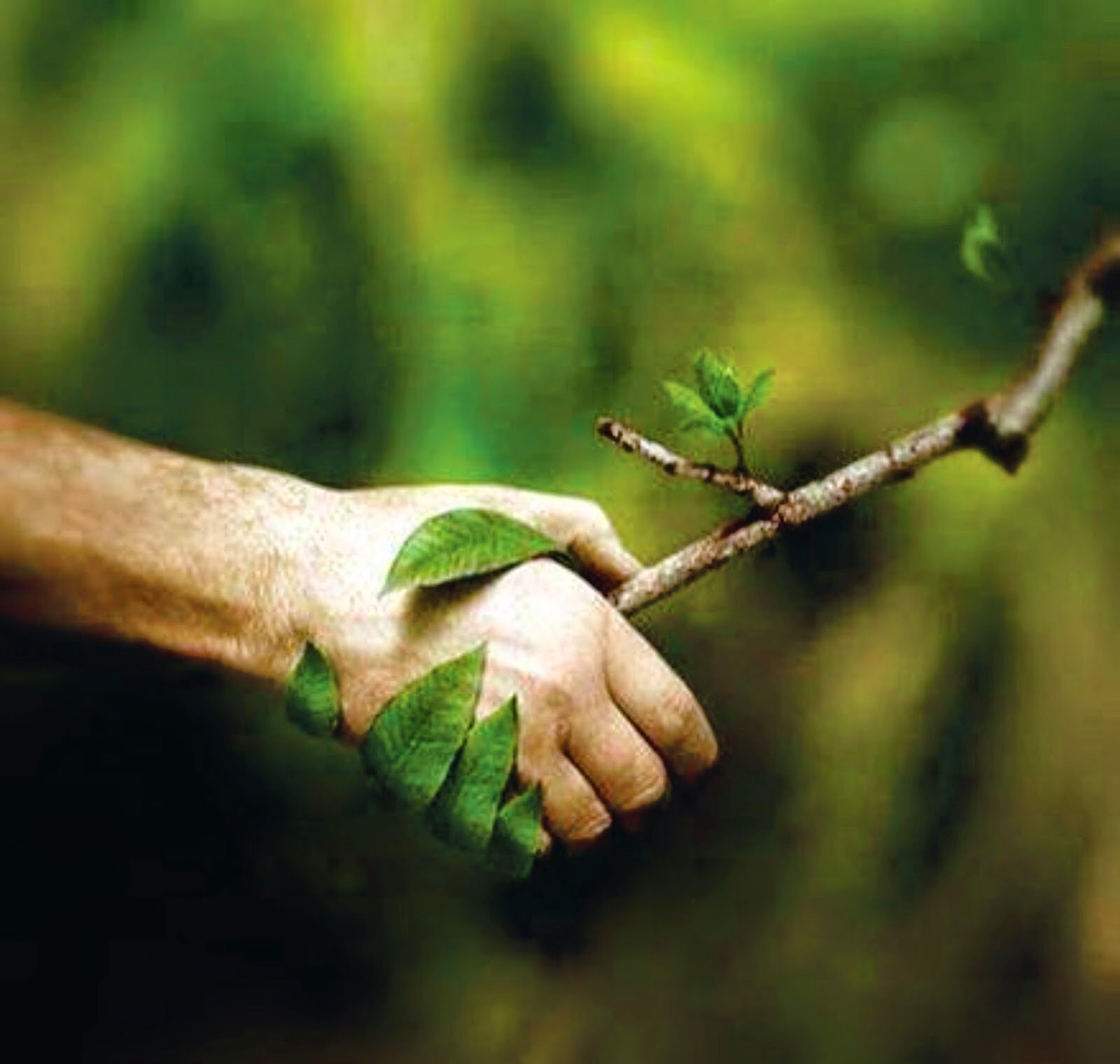 Embracing Nature: The Hand That Grows with the Tree
