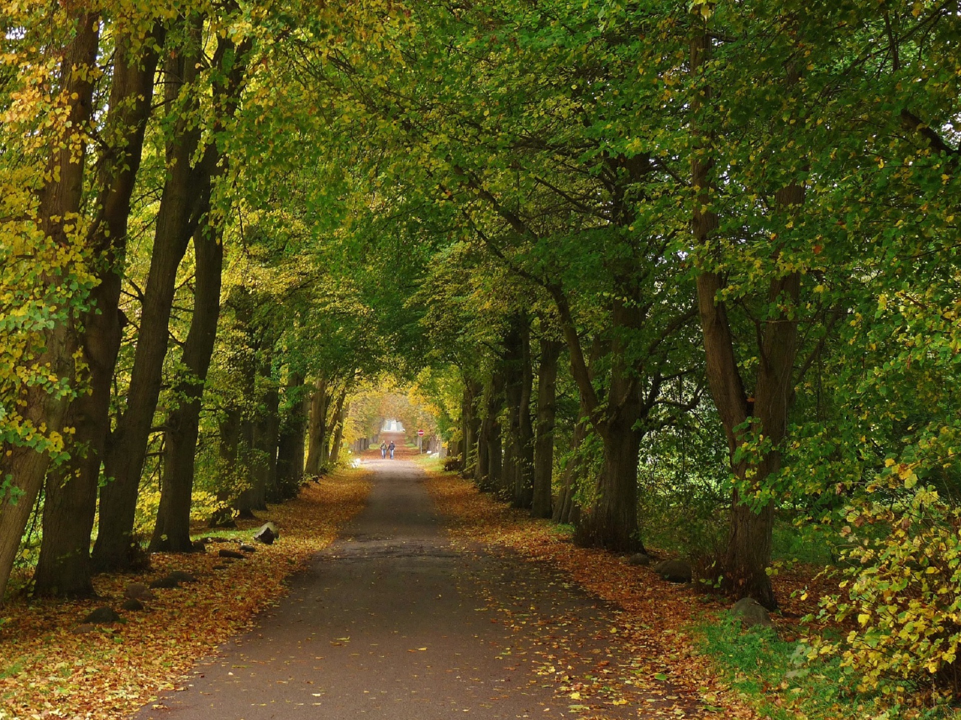 Download Man Made Path Image