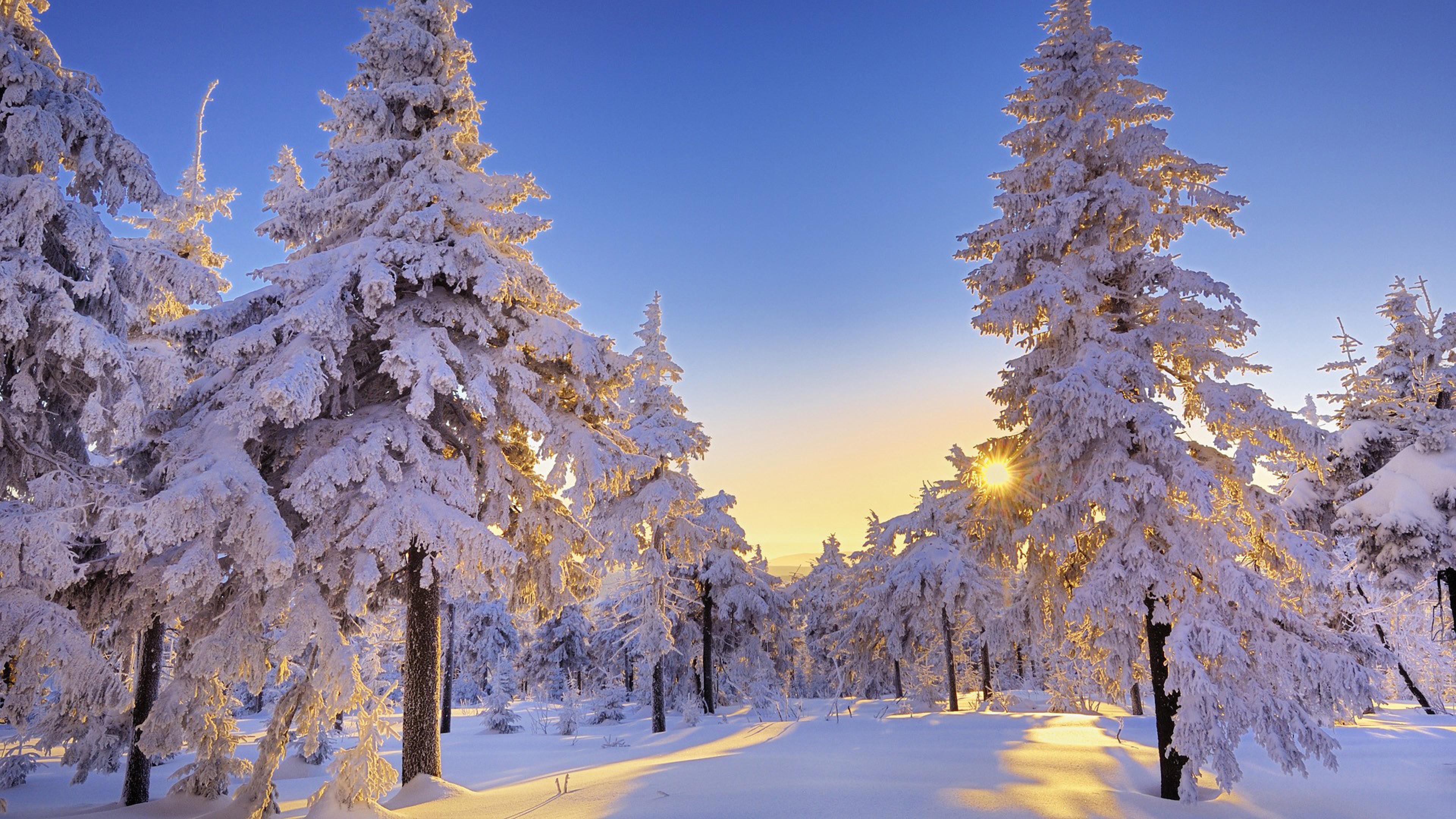 Download Nature Winter Image