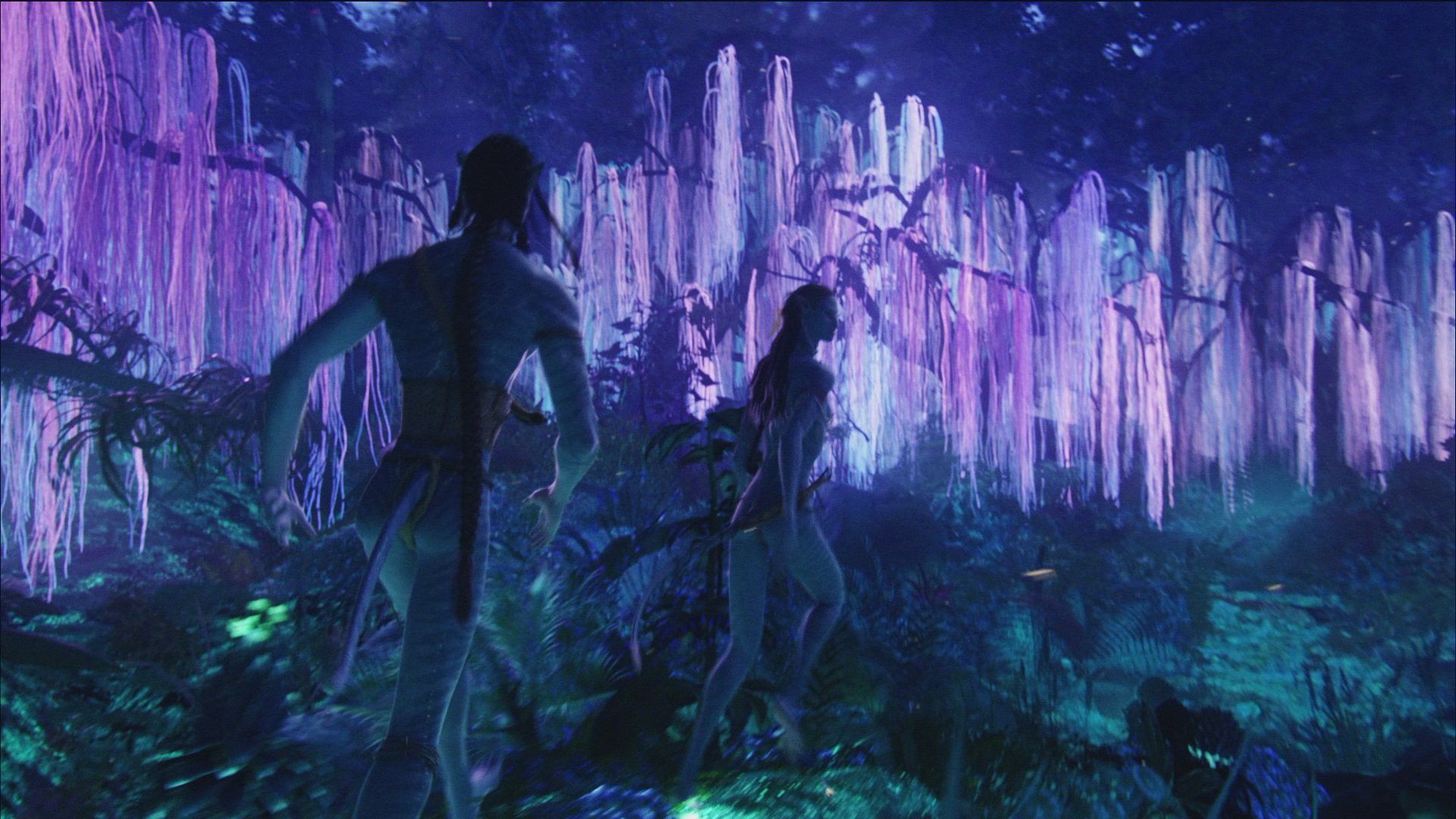 Journey Through Pandora: The World of Avatar
