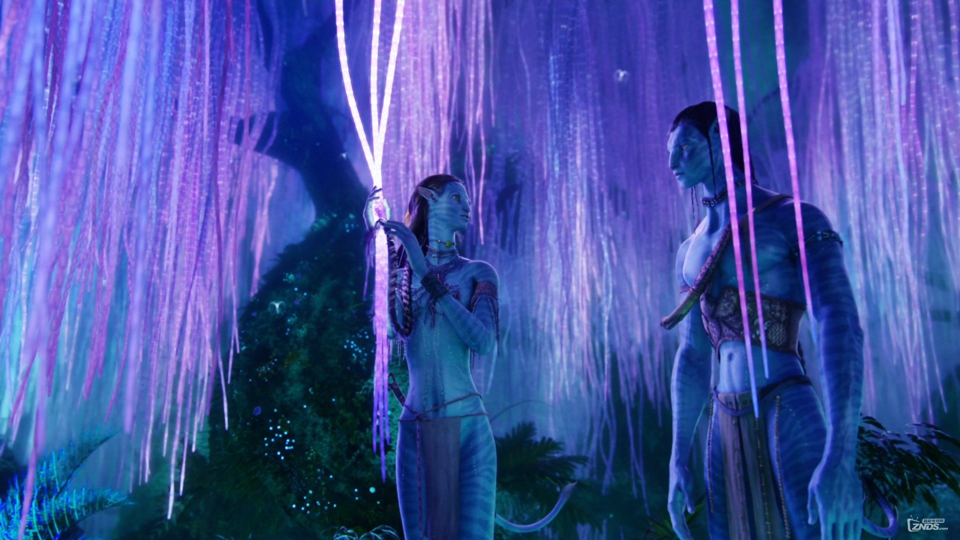 Avatar: Mystical Nights of Pandora