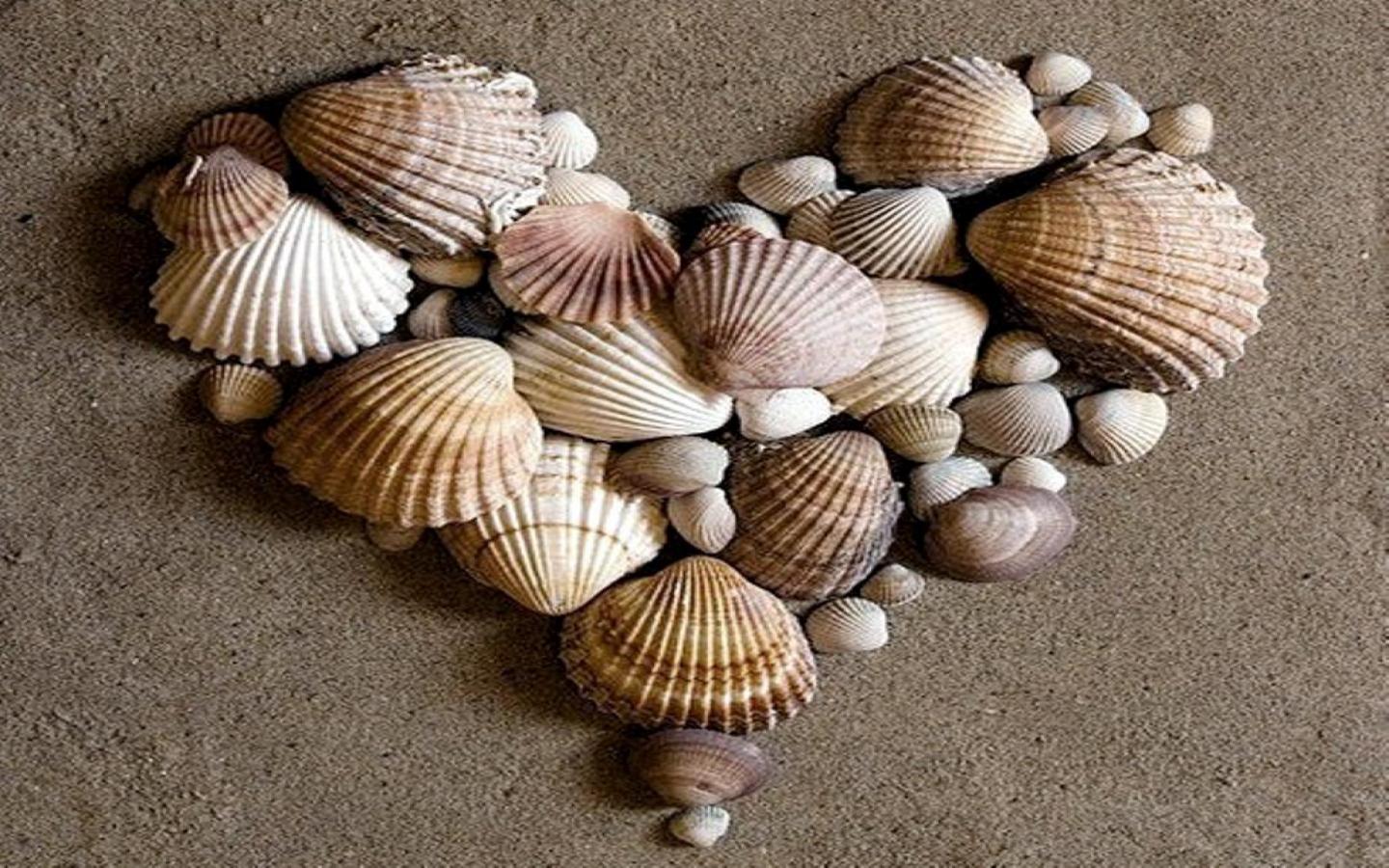 Download Shell Artistic Heart Image