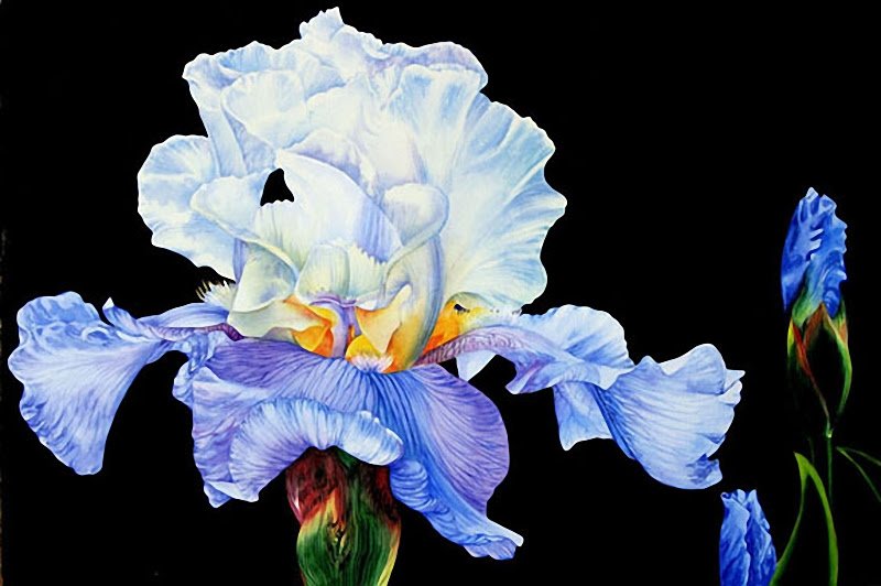 Realism - Desktop Wallpapers, Phone Wallpaper, PFP, Gifs, and More!