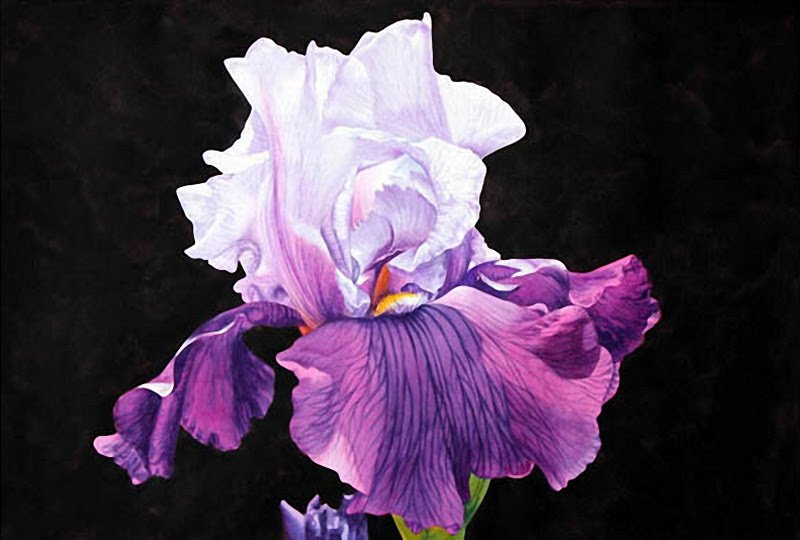 Realism - Desktop Wallpapers, Phone Wallpaper, PFP, Gifs, and More!