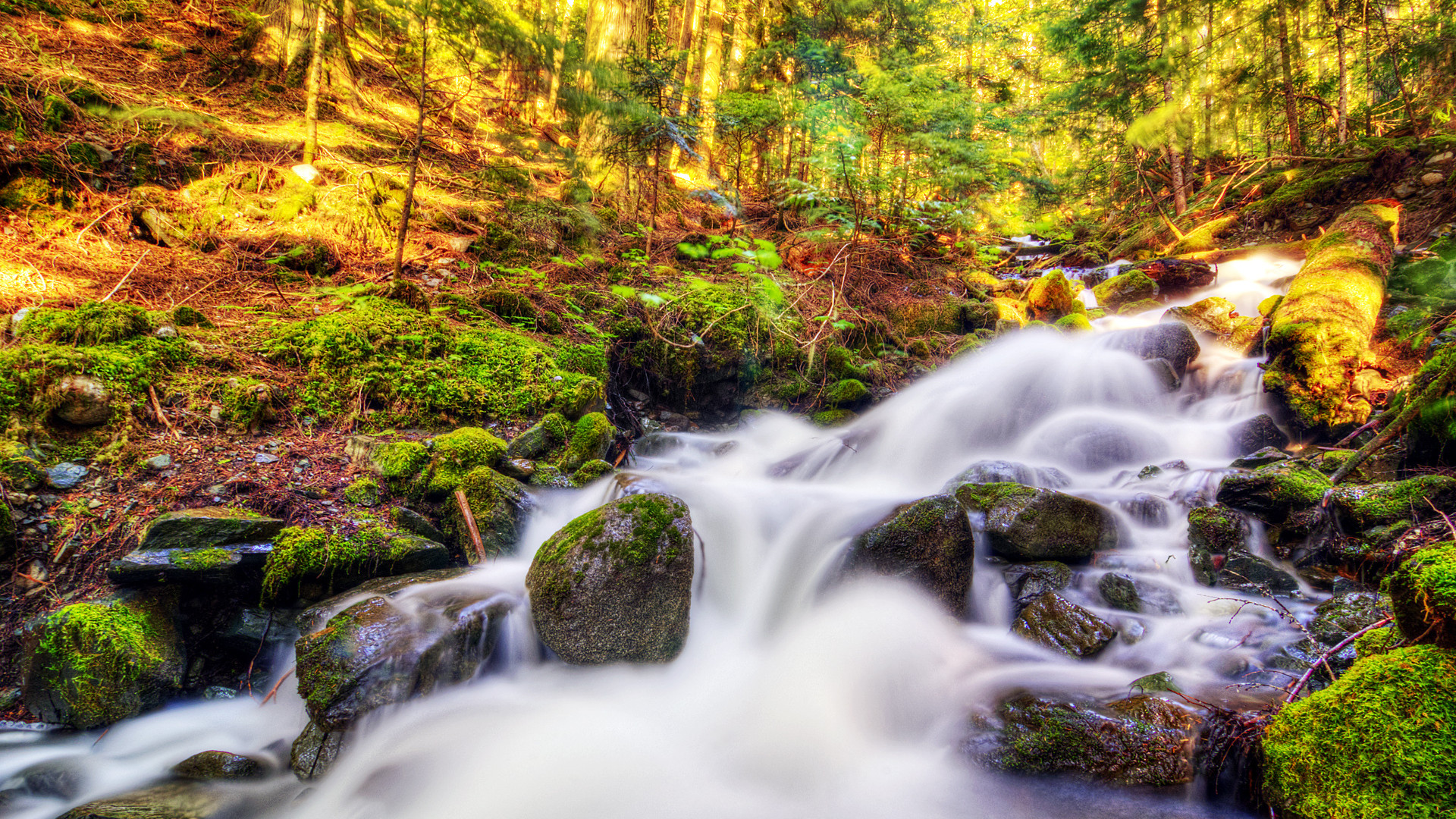 Download Nature Stream Image