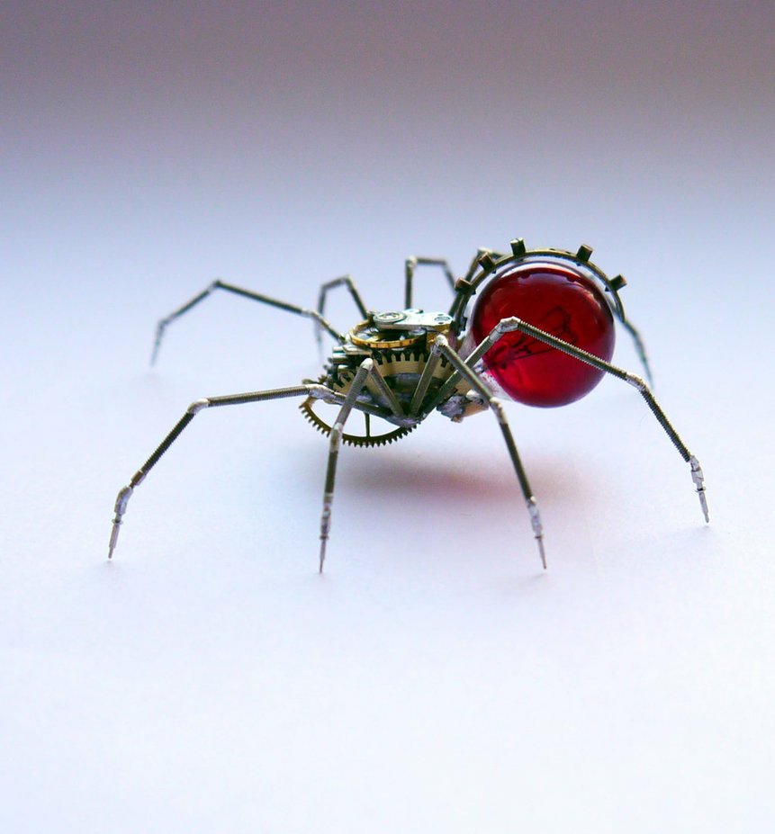 Spider Picture - Image Abyss