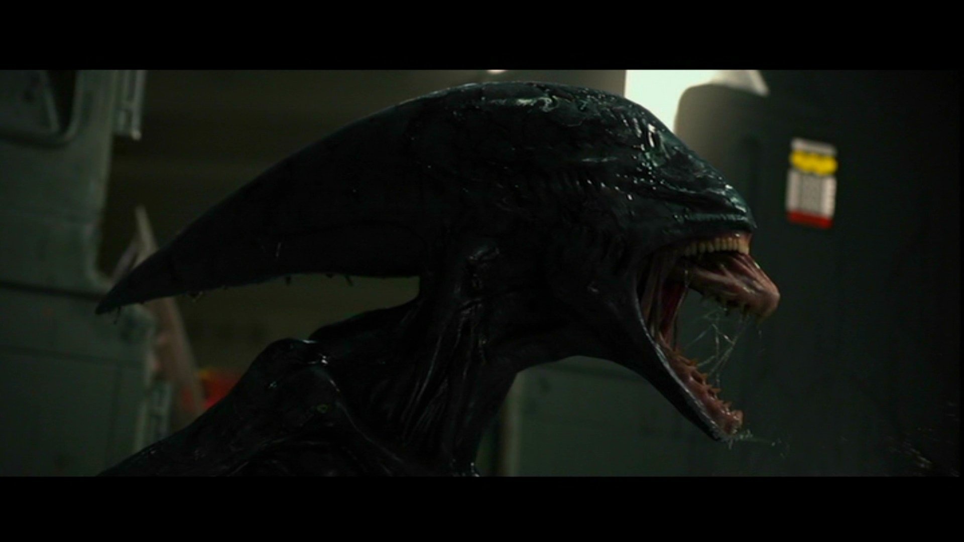 Prometheus Picture - Image Abyss