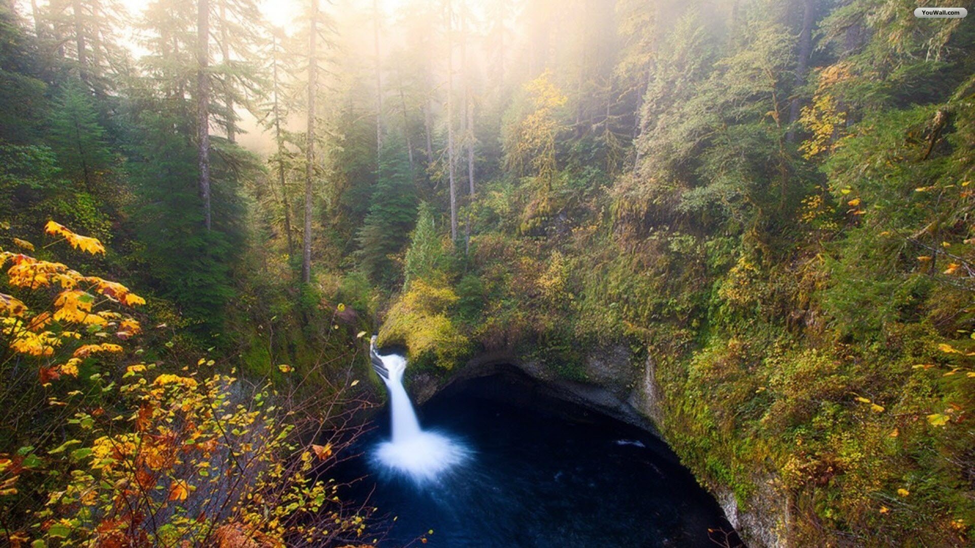 Download Fall Forest Earth Nature Waterfall Image