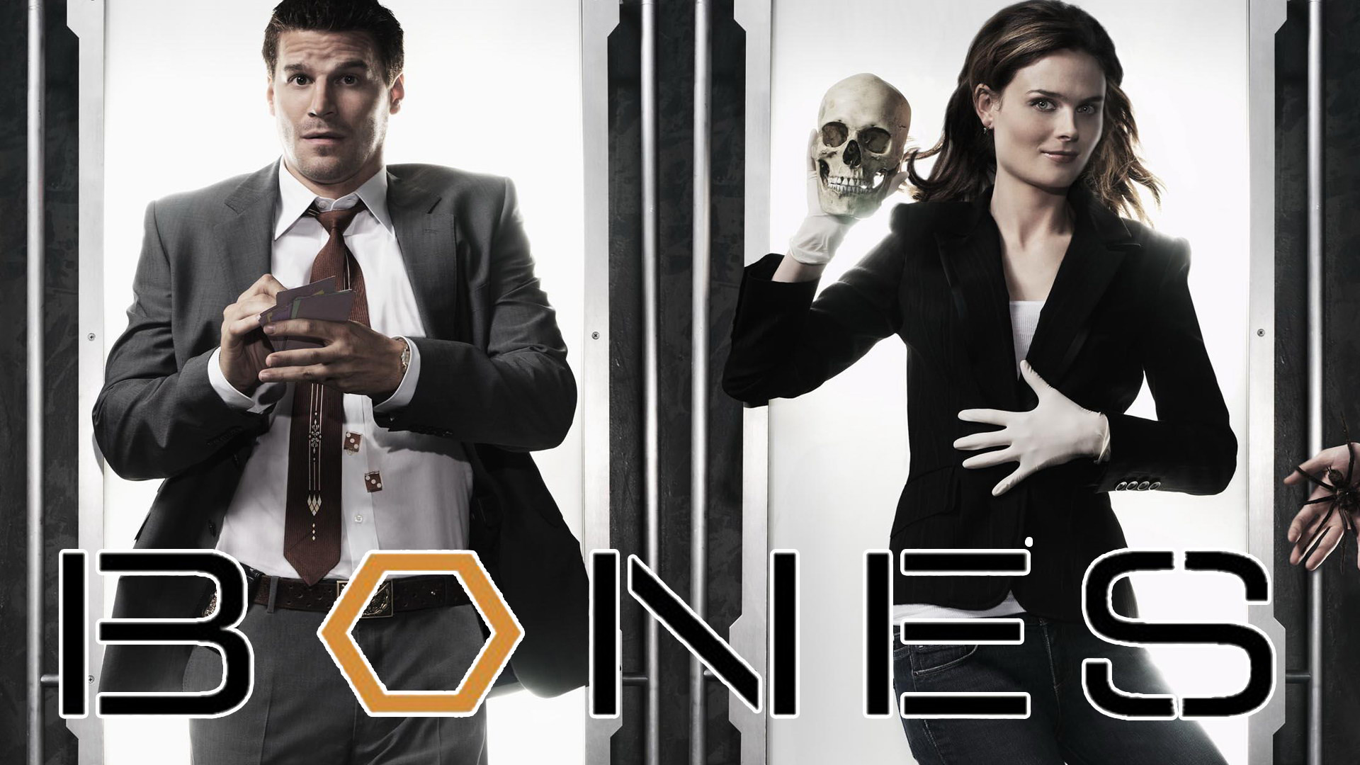 Bones Picture - Image Abyss