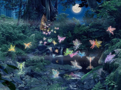 Download Magical Forest Fantasy Fairy Image