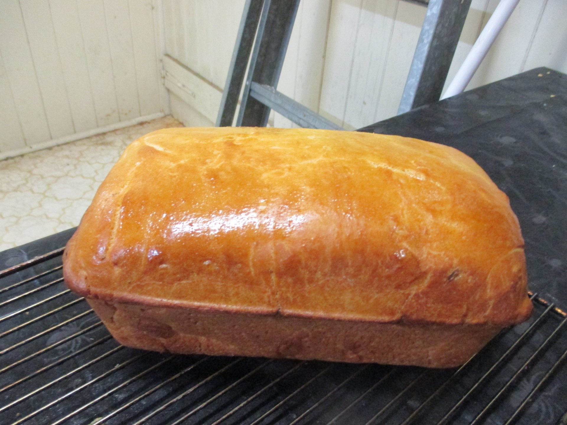 Basil Bread by bluereaper