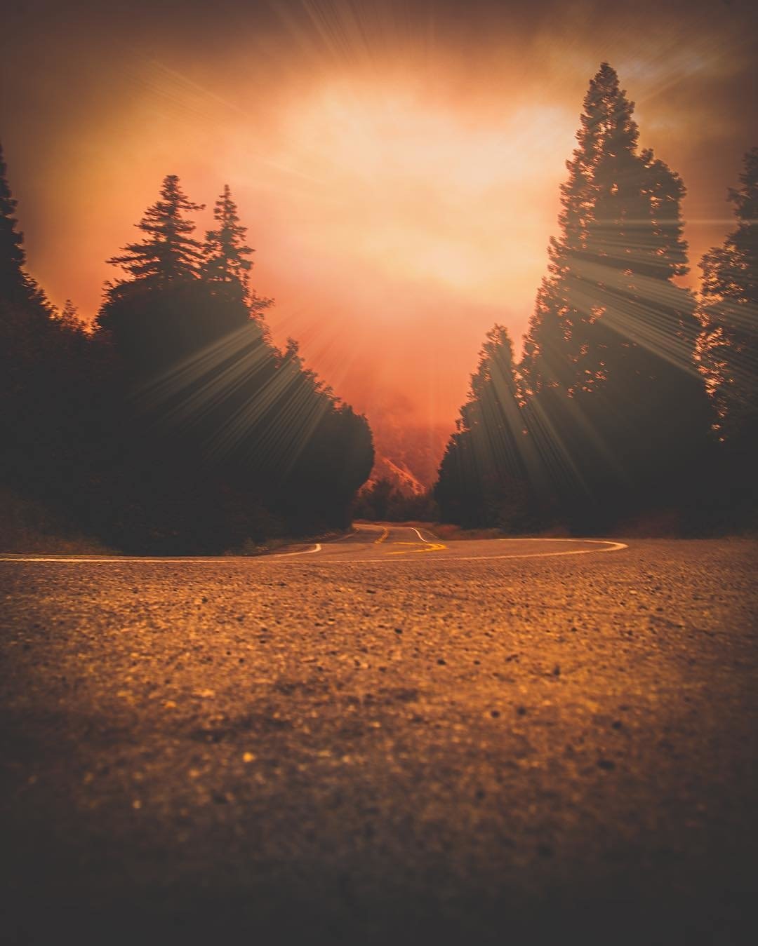 Sunbeam Image - ID: 142754 - Image Abyss