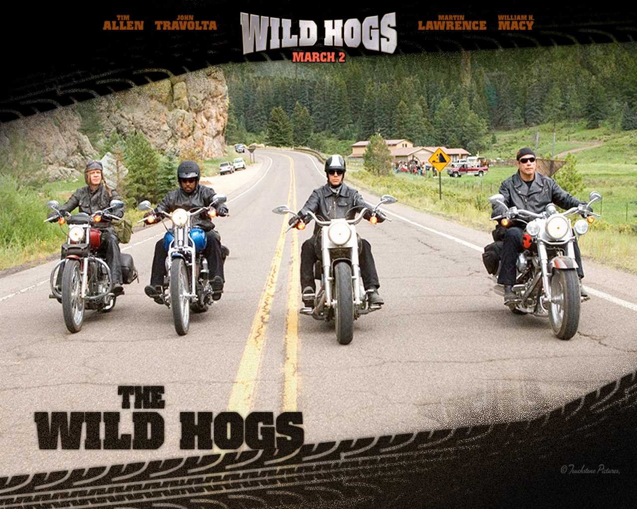 Download Movie Wild Hogs Image