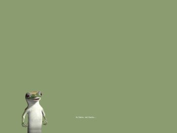 Geico Gif Wallpaper