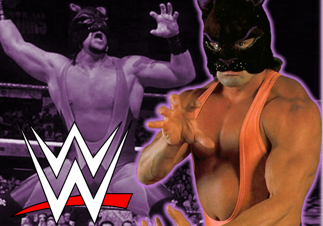 Battle Kat - WWE Image - ID: 146938 - Image Abyss