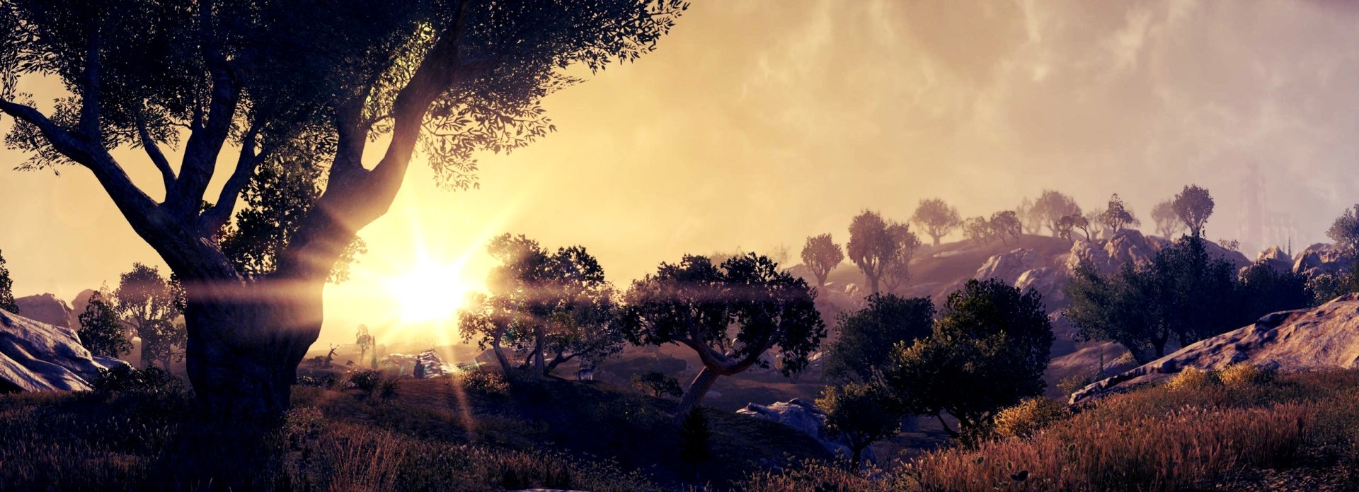 Download Sun Tree Video Game The Elder Scrolls Online Image