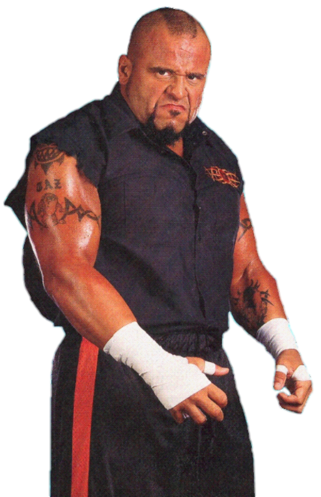 Download WWE Sports Image