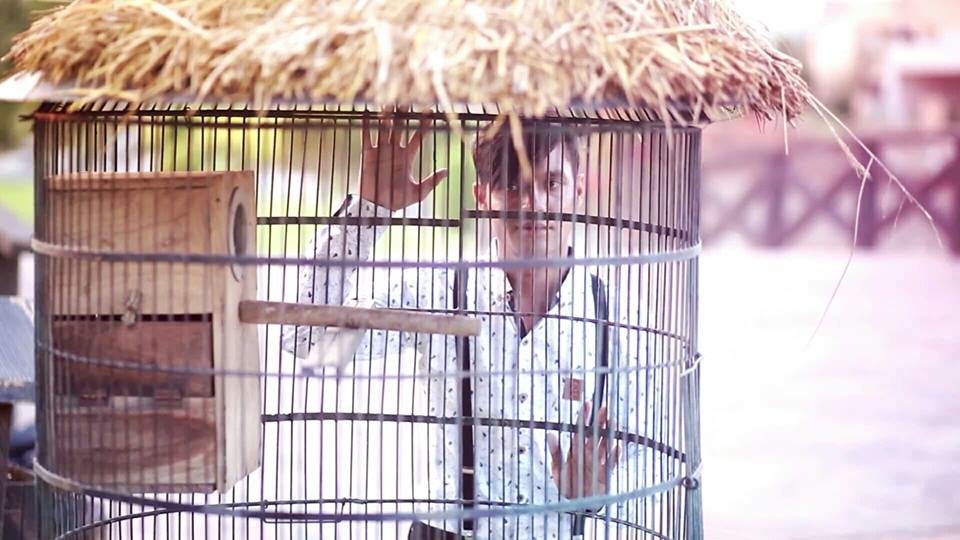 Ali Star - Desktop Wallpapers, Phone Wallpaper, PFP, Gifs, and More!