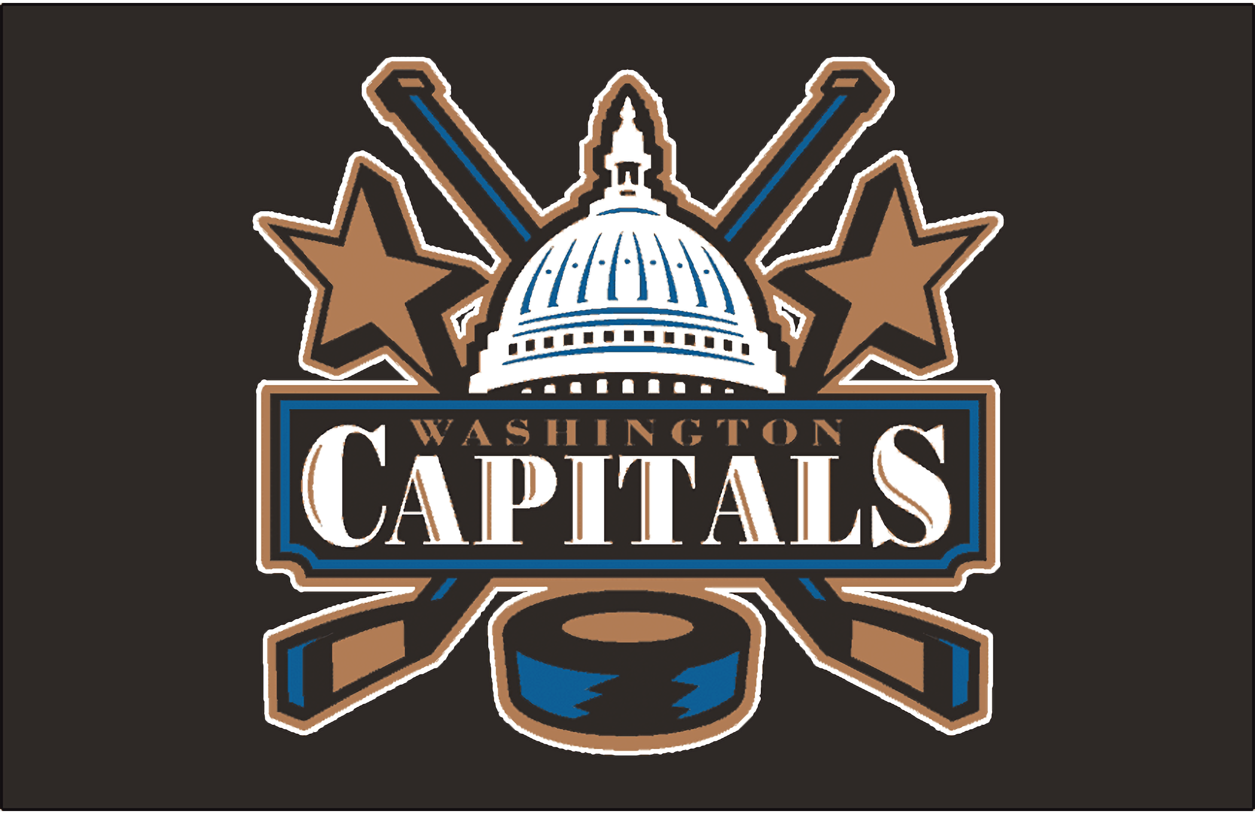 Download Washington Capitals Sports Image