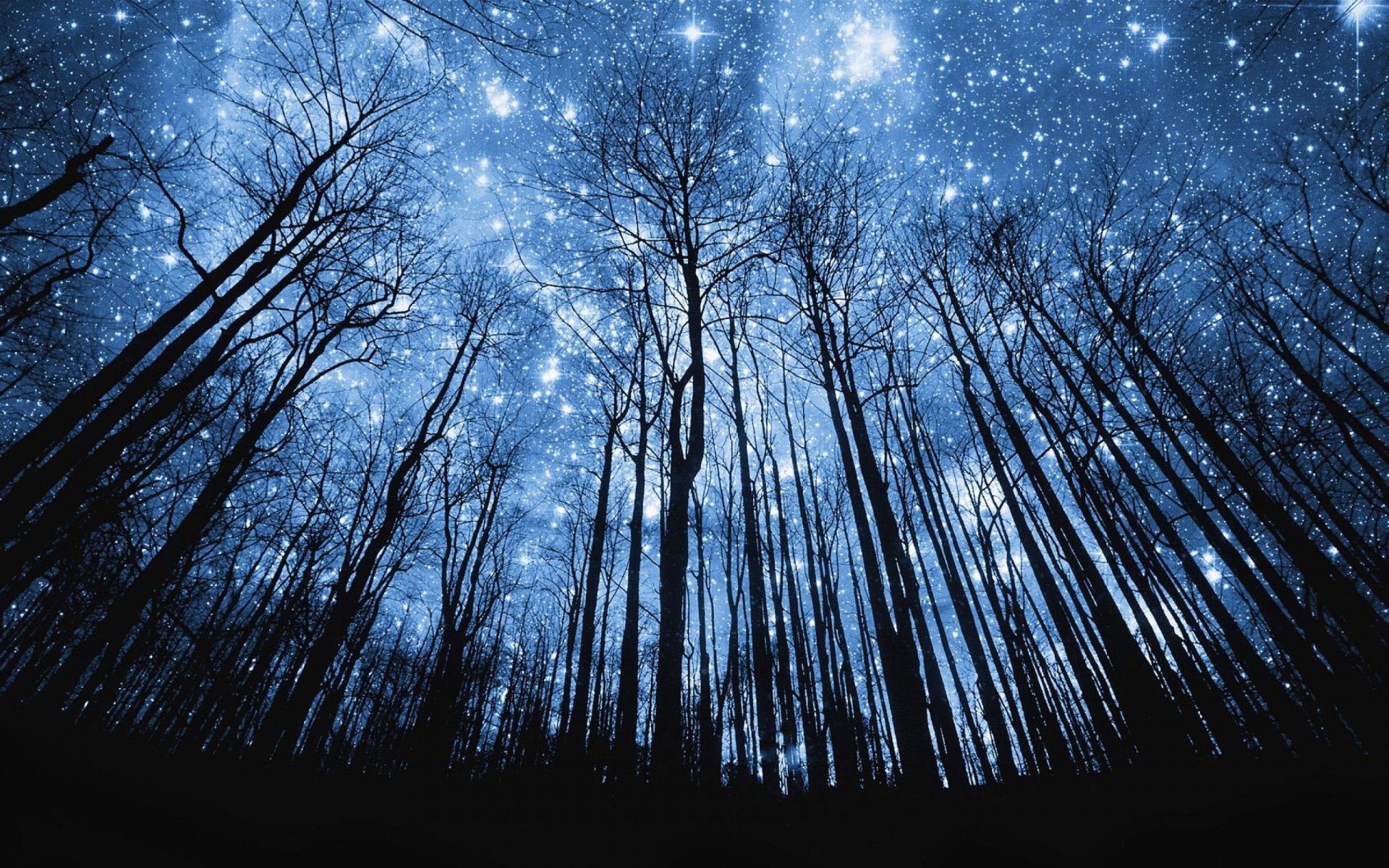 The forest of stars Image - ID: 156214 - Image Abyss
