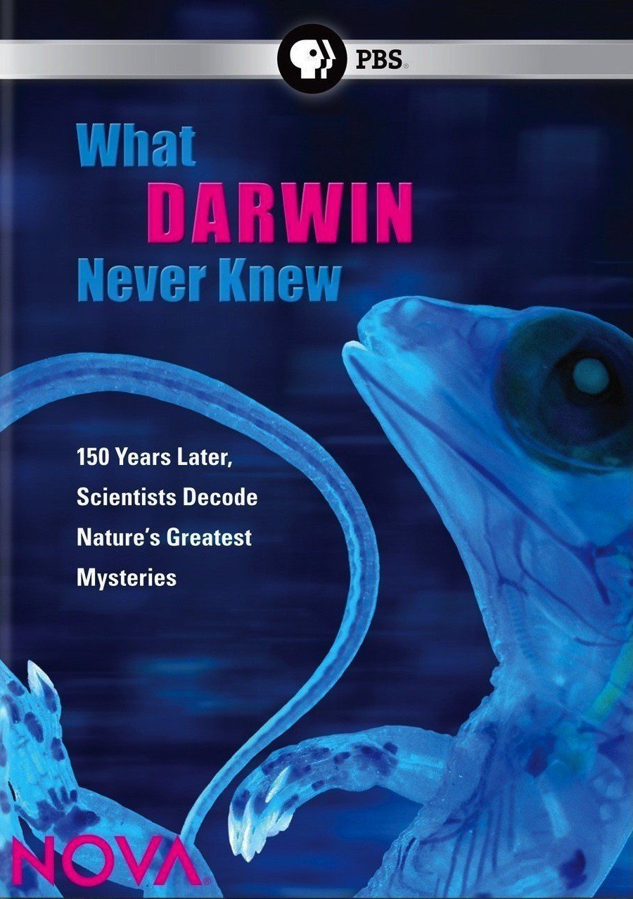 What Darwin Never Knew - Desktop Wallpapers, Phone Wallpaper, PFP, Gifs ...