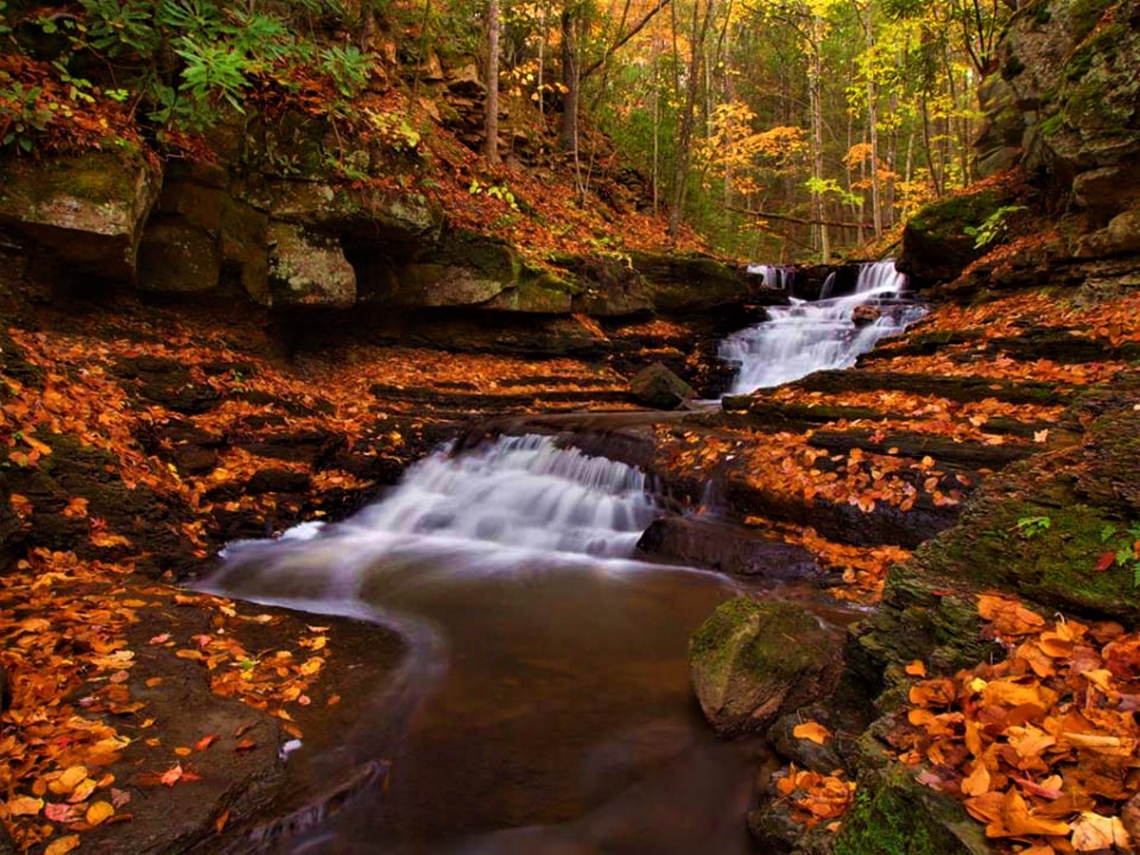 Cascading Waterfalls in Autumn Forest - Image Abyss