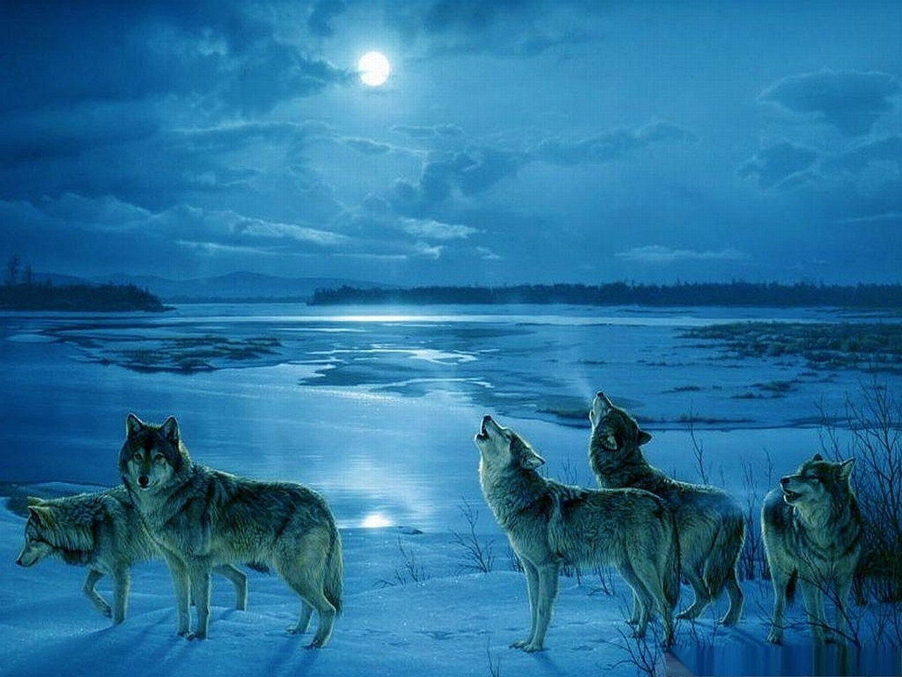 Howling at the Moon: A Pack of Wolves