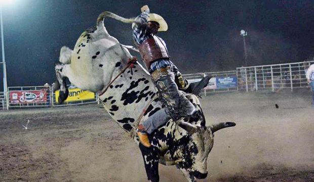 Rodeo Picture - Image Abyss