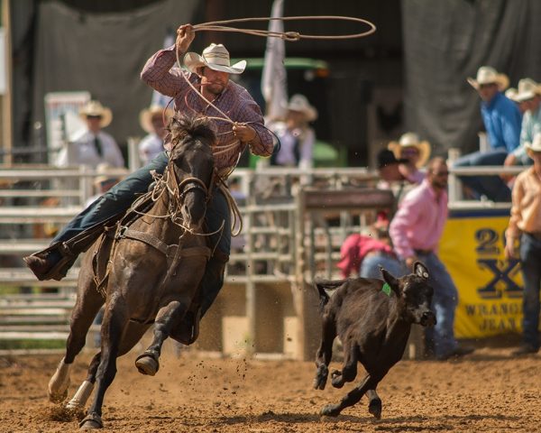 Rodeo Picture - Image Abyss