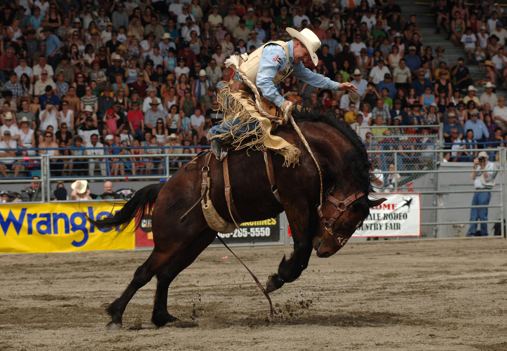 Rodeo Picture - Image Abyss