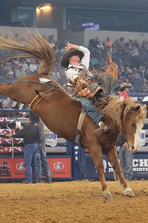 Download Horse Rodeo Sports Image