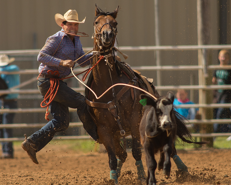Download Horse Rodeo Sports Image