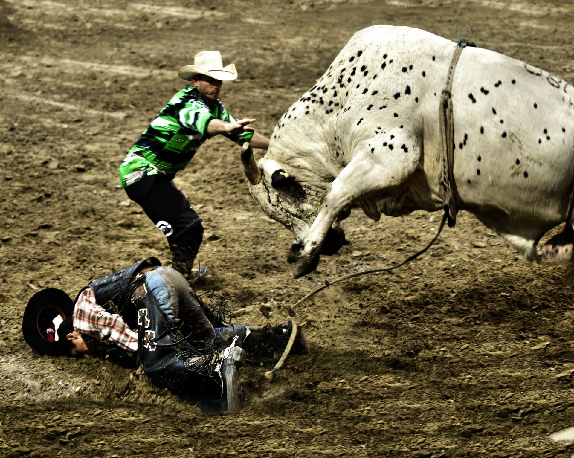 Bullriding Image - ID: 169590 - Image Abyss