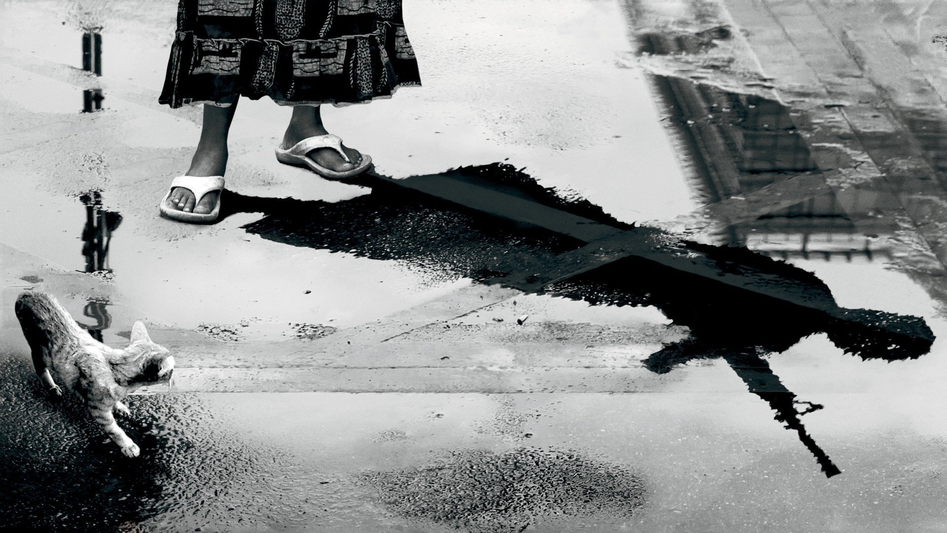 VICE Image - ID: 169593 - Image Abyss