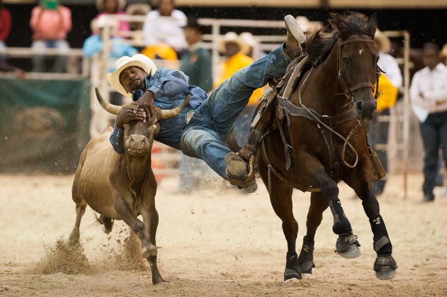 Download Horse Rodeo Sports Image