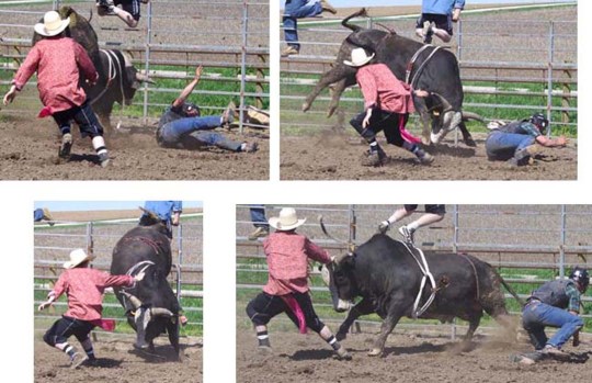 Download Bullfighting Sports Image