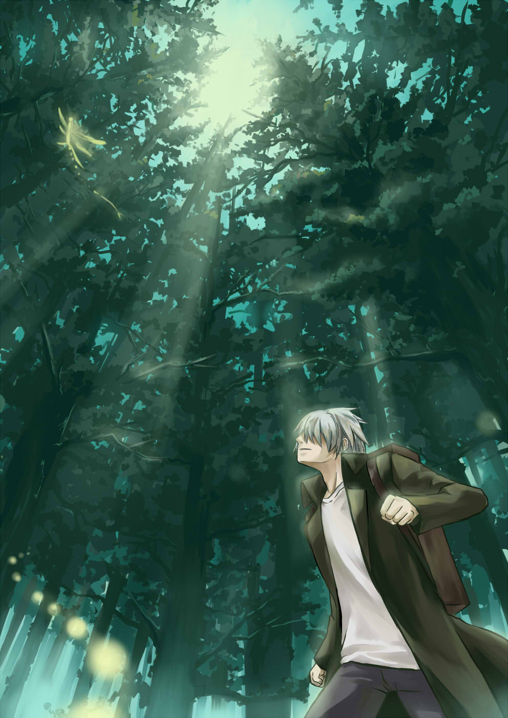 Download White Hair Forest Ginko (Mushishi) Anime Mushishi Anime Forest ...