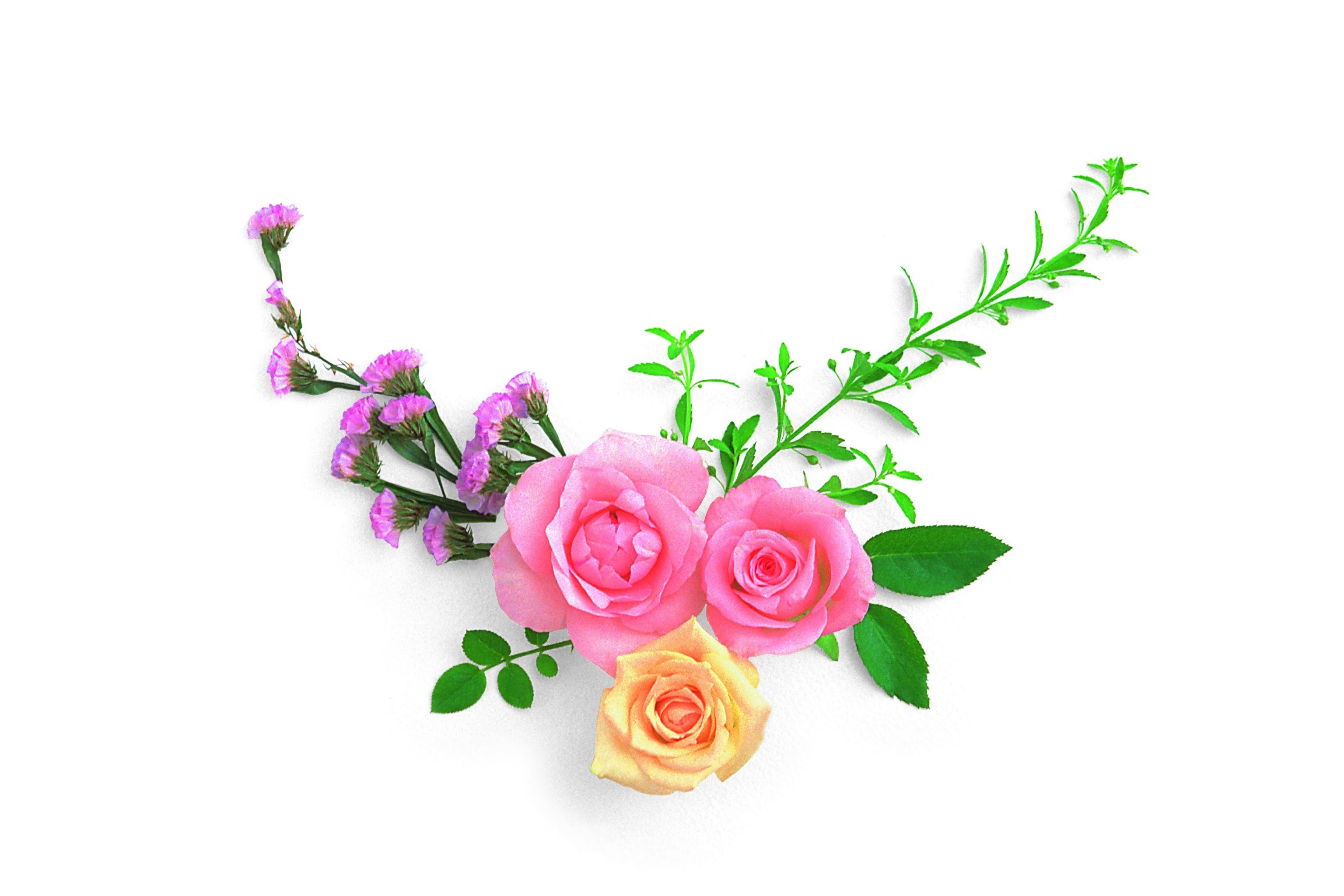 Artistic Pink Rose Delight: A Colorful Floral Decoration