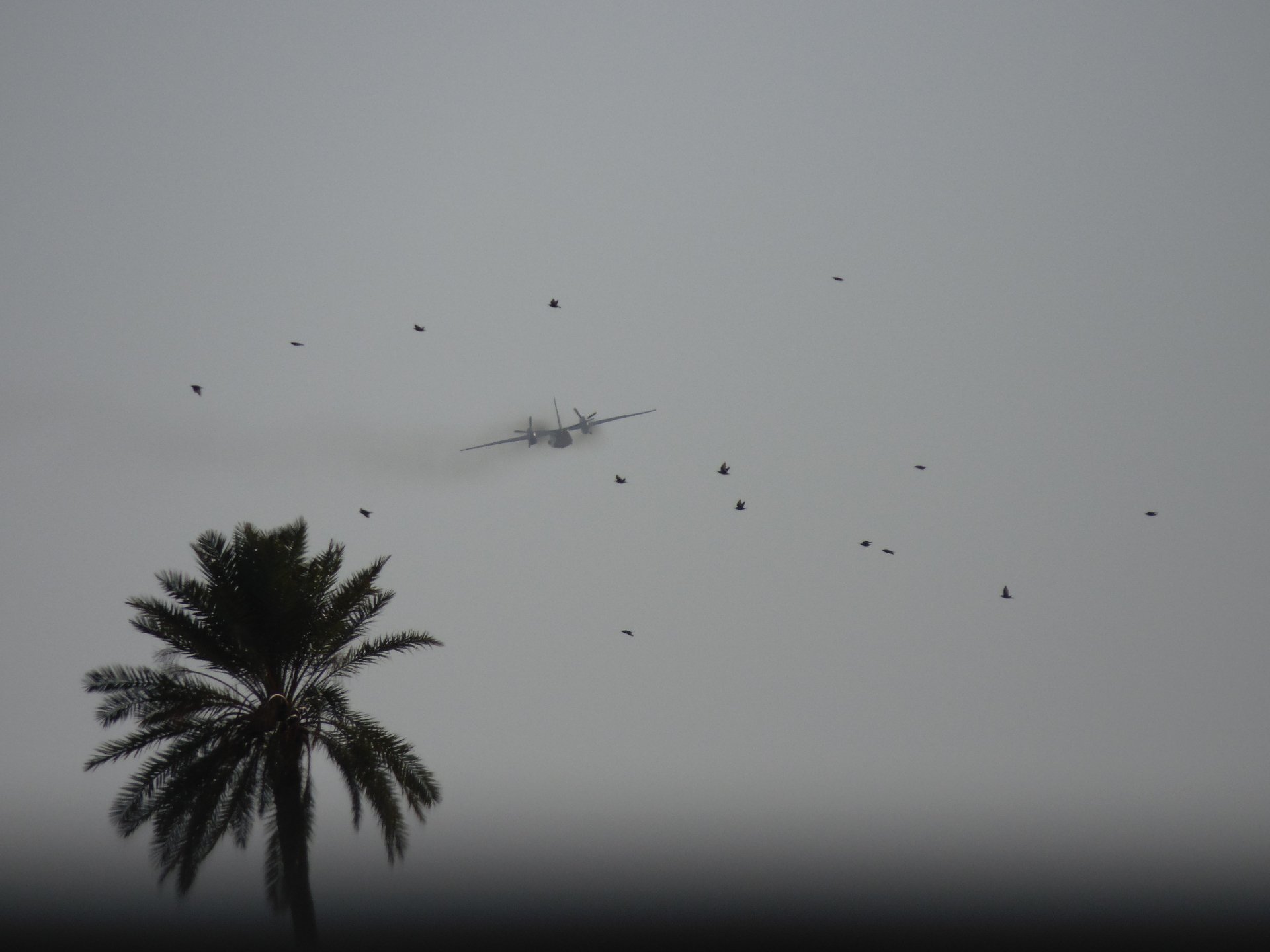 Libya - Desktop Wallpapers, Phone Wallpaper, PFP, Gifs, and More!