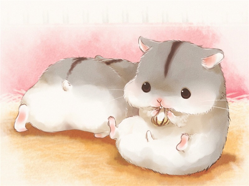 Adorable Fluffy Hamster Delight