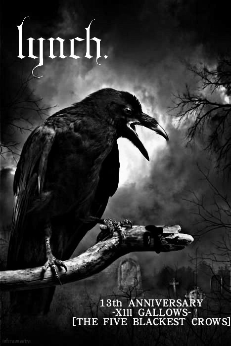 Download Crow Music Lynch. Image