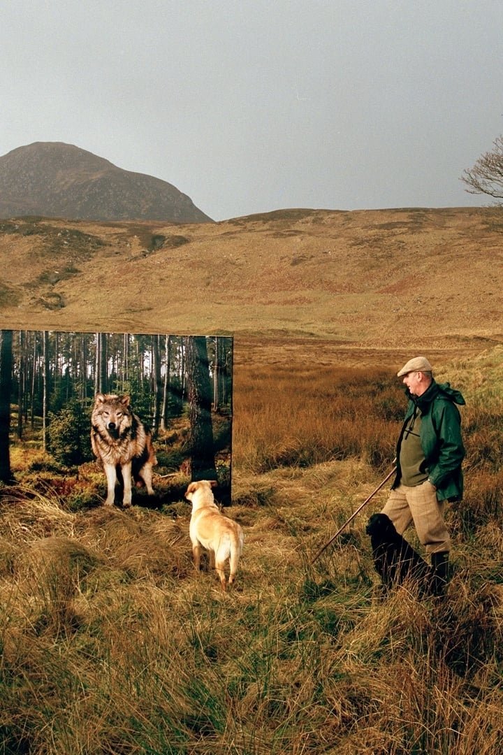 Serengeti Rules - Desktop Wallpapers, Phone Wallpaper, PFP, Gifs, and More!