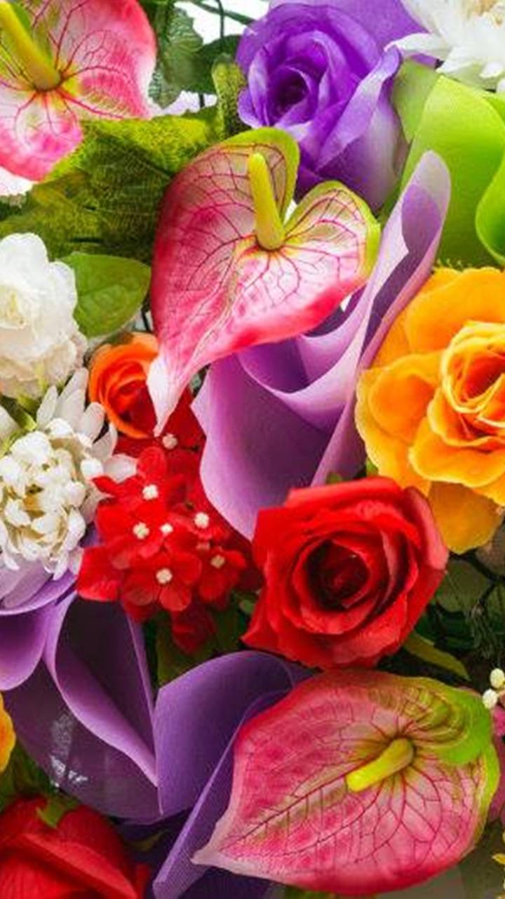 Download Nature Flower Image