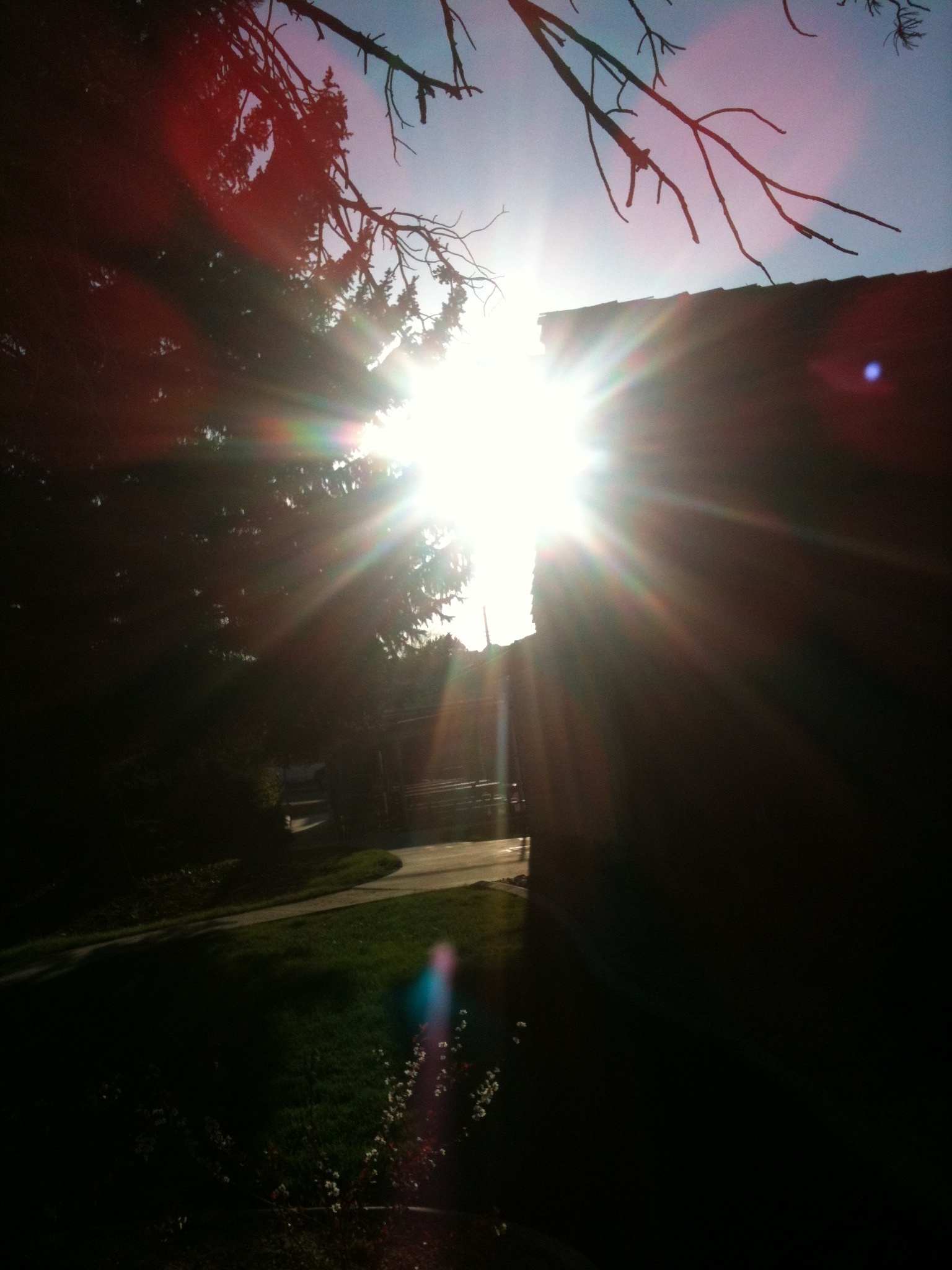 Sunbeam Picture by Arch81Angel - Image Abyss