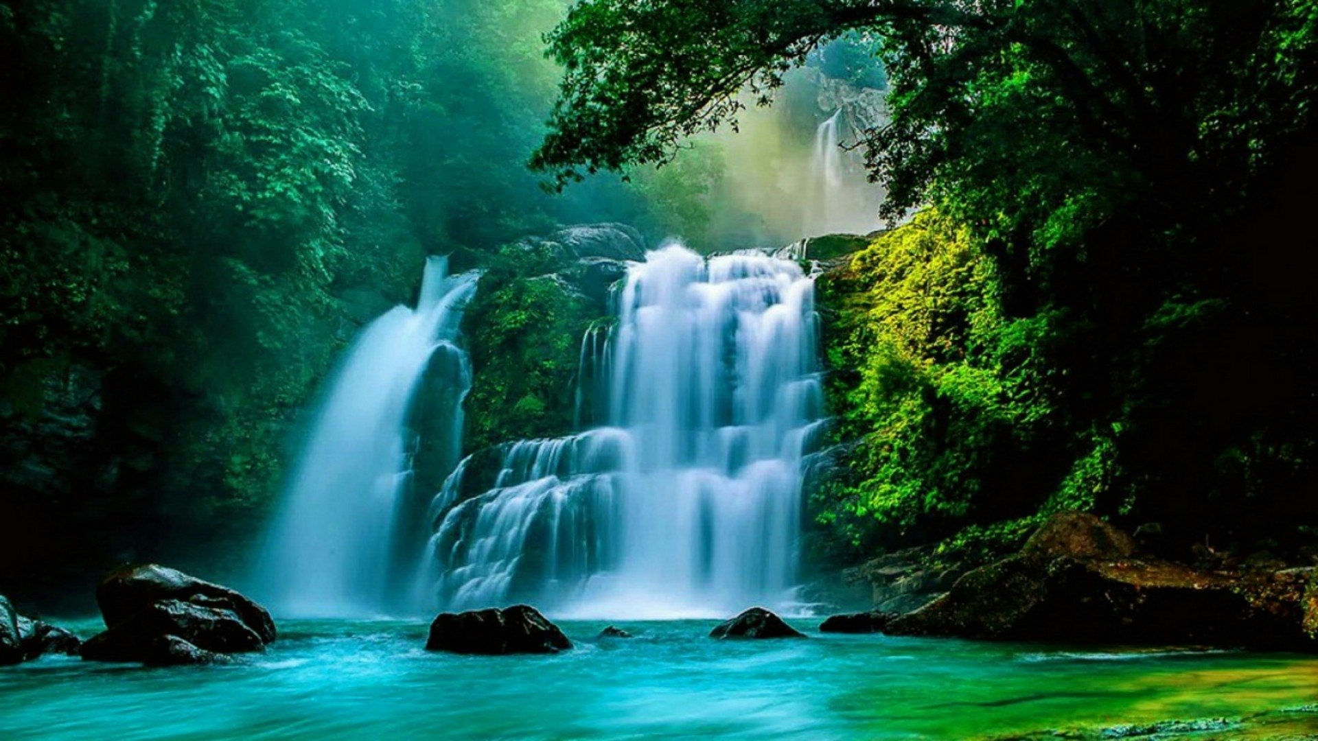 Download Earth Forest Nature Waterfall Image