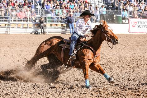 Download Rodeo Sports Image