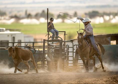 Rodeo Picture - Image Abyss