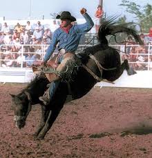 Download Rodeo Sports Image